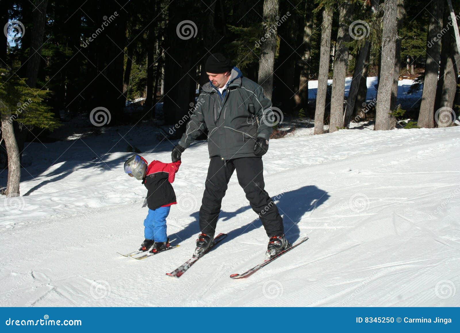 Father and child skiing stock photo. Image of fatherred - 8345250