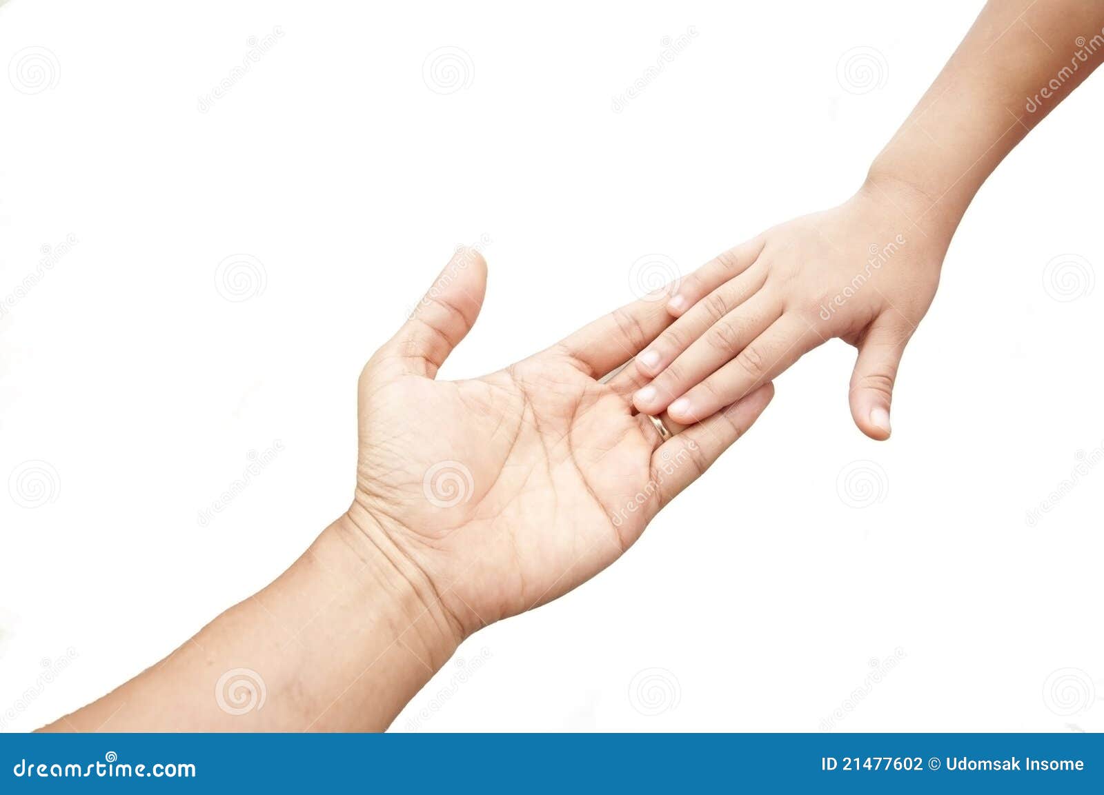 Father Hand And Child Hand Stock Photography | CartoonDealer.com #21477602