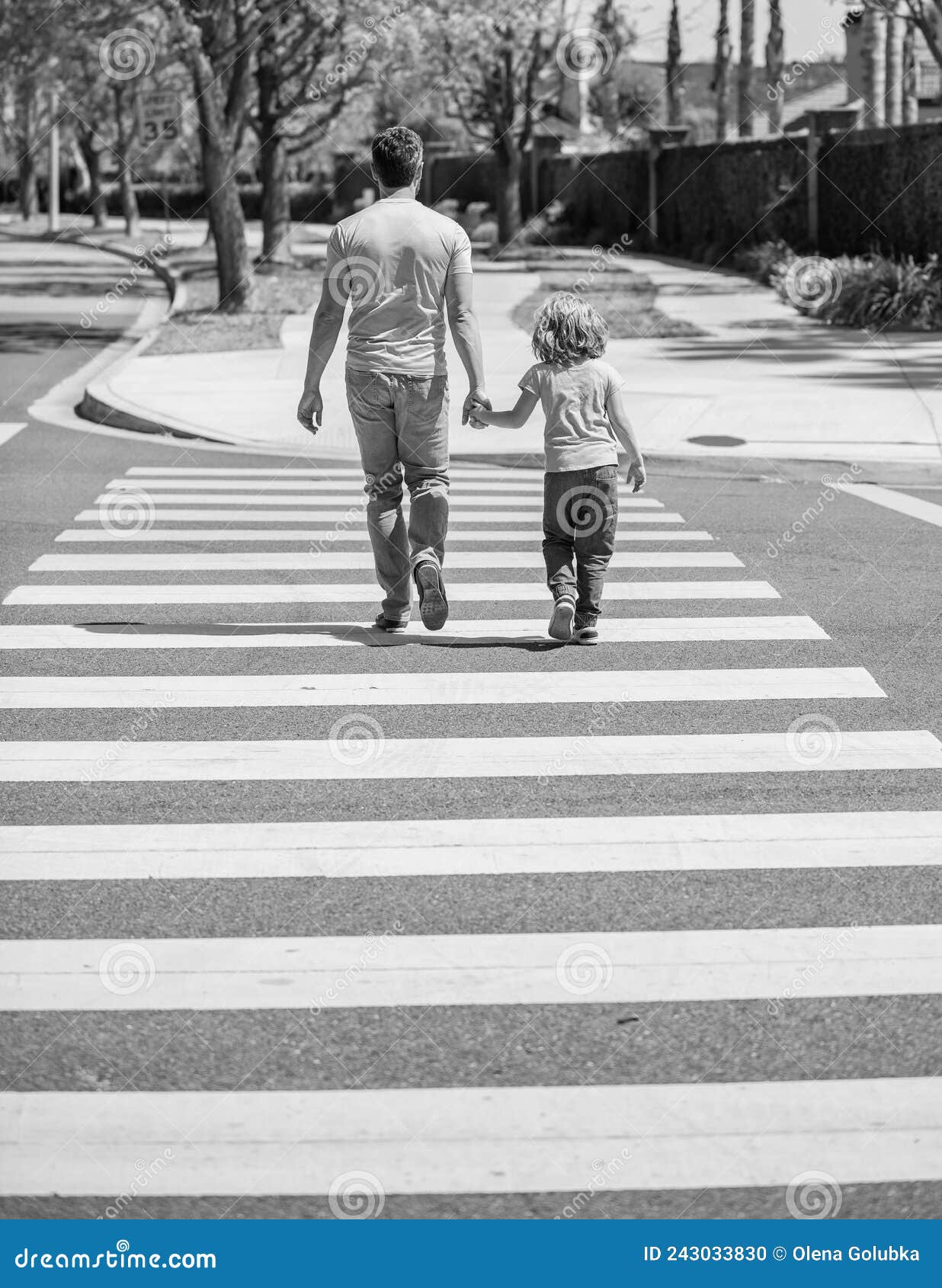 Father Leading His Son through Zebra Crossing, Togetherness Stock Photo ...