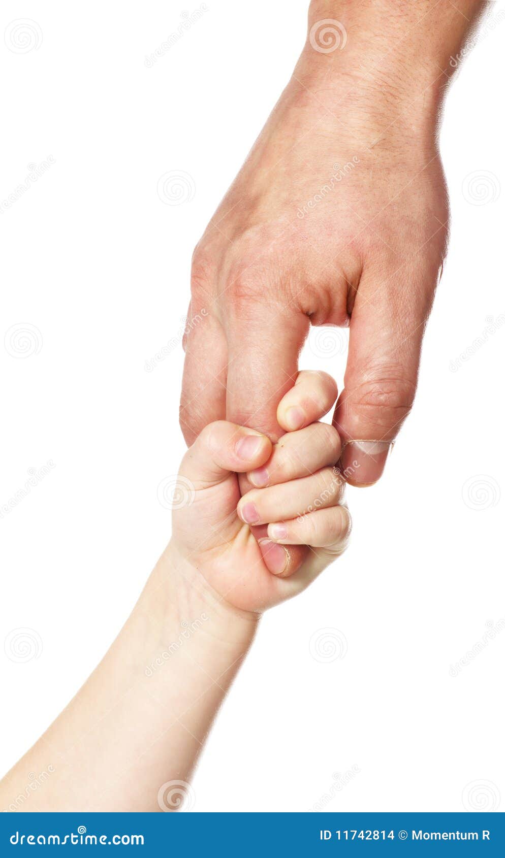 Father s hand stock photo. Image of childhood, body, parenthood - 11742814