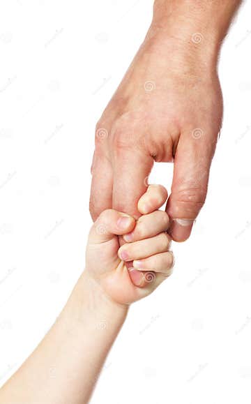 Father s hand stock photo. Image of childhood, body, parenthood - 11742814
