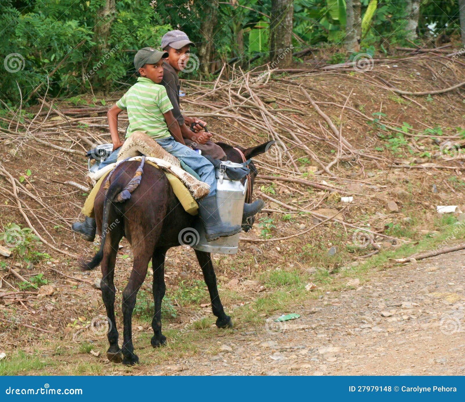 131 Dominican Father Photos - Free & Royalty-Free Stock Photos from ...