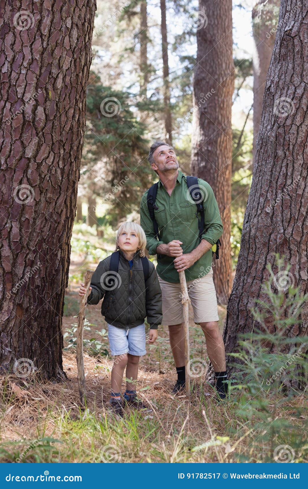 Father and Son Discovering Nature in Forest Stock Image - Image of ...