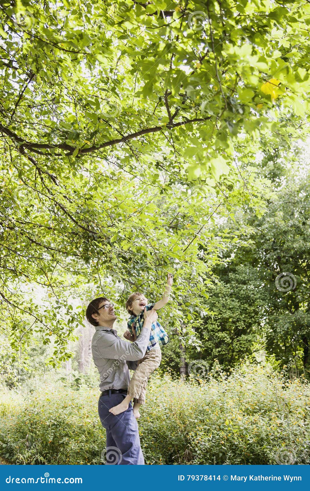 Father and Son Exploring Nature Stock Photo - Image of explore, leaves ...