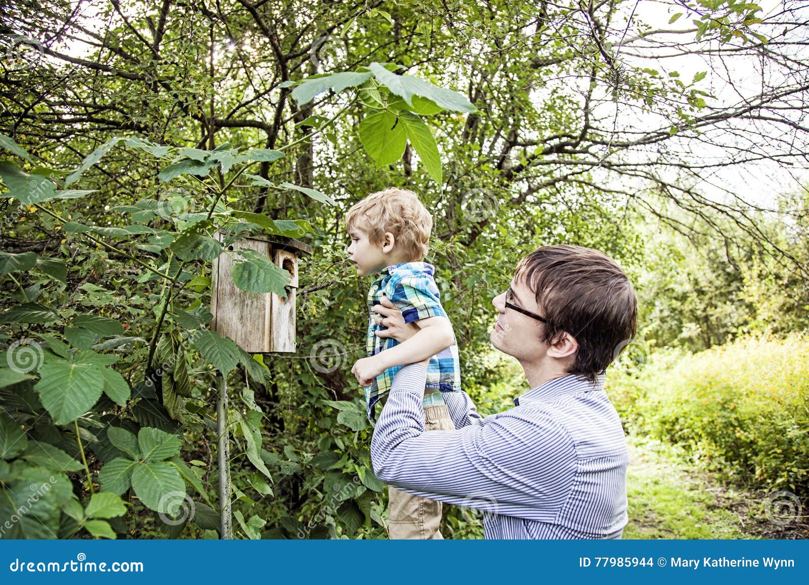 Father and Son Exploring Nature Stock Photo - Image of family, explore ...