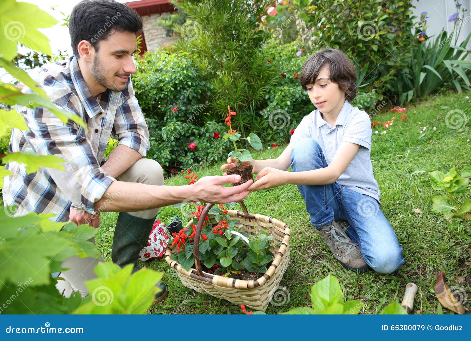 Father and son gardening stock image. Image of outdoors - 65300079
