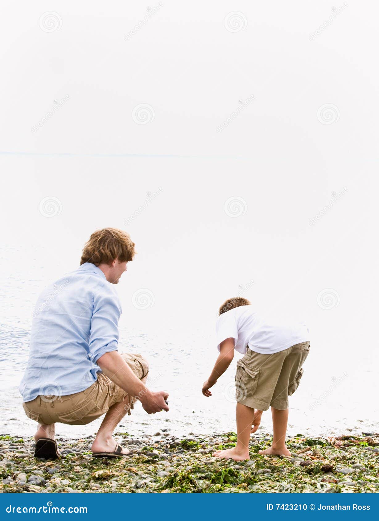Father and Son Gathering Rocks at Beach Stock Photo - Image of ...
