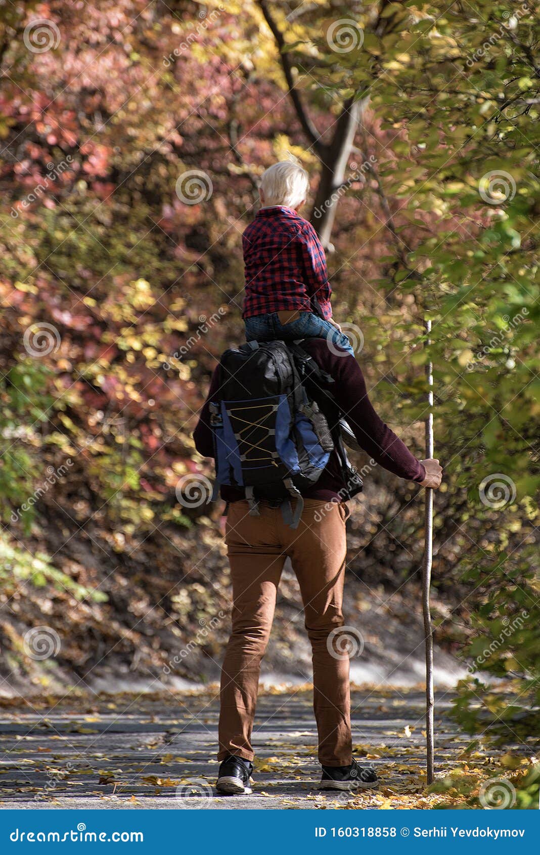 Father With Son On His Shoulders Walking In The Autumn Forest Back