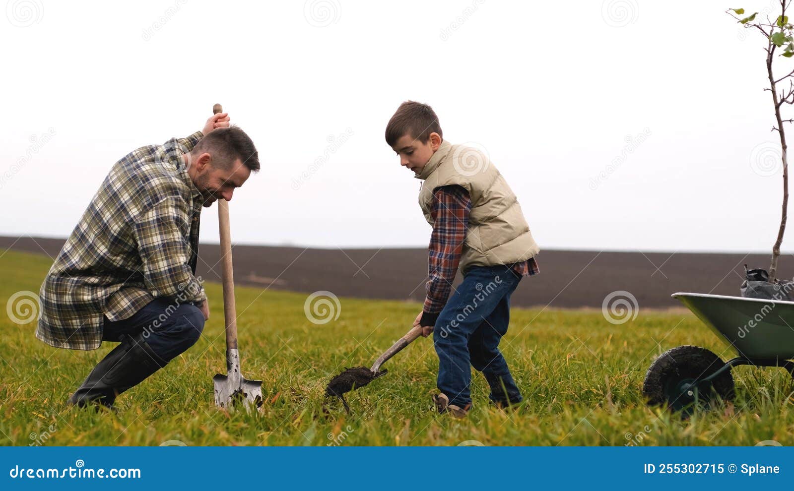 The Father and Son Planting a Tree. Stock Image - Image of male, father ...