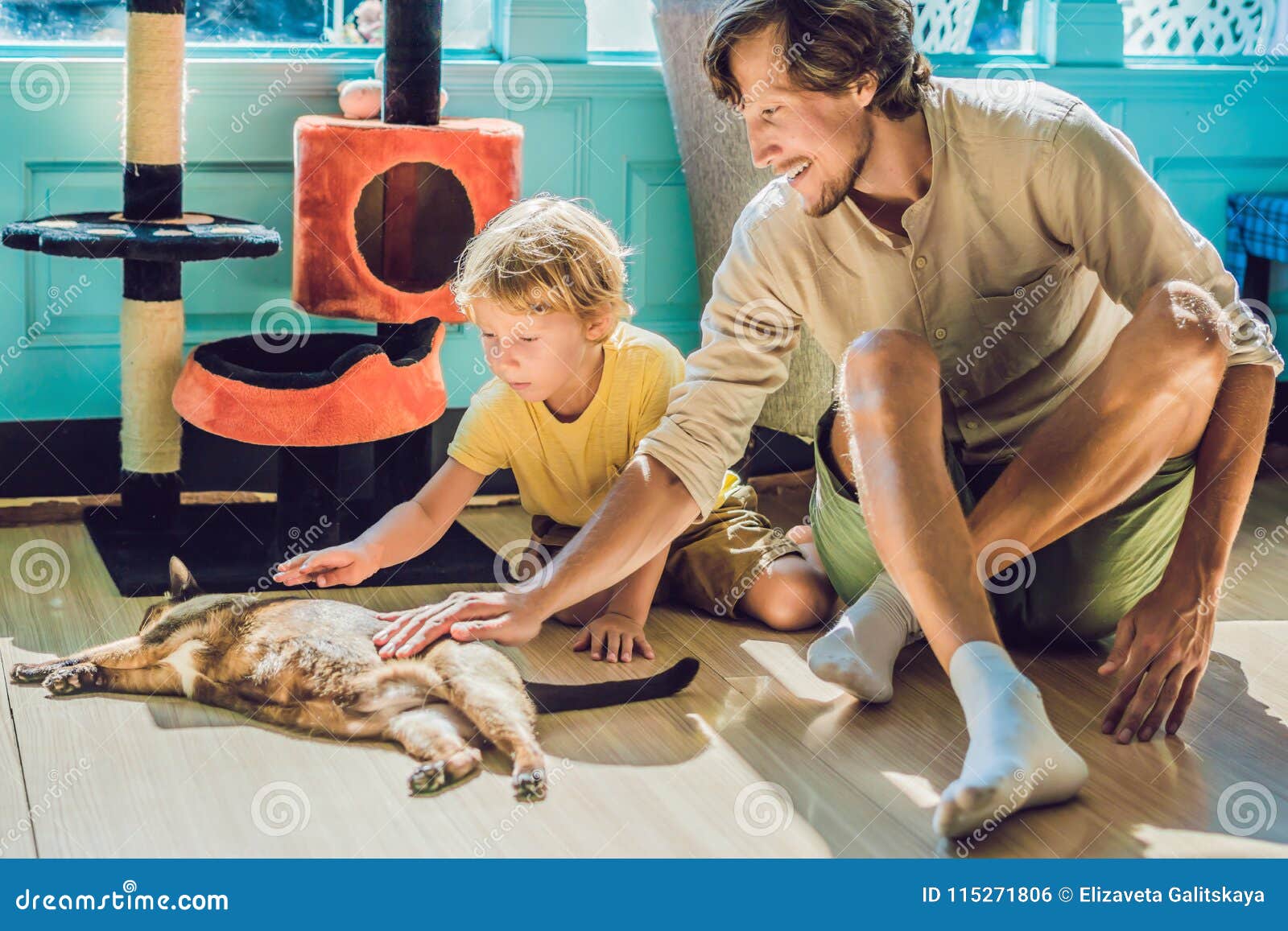 Father and Son Playing with a Cat Stock Photo - Image of parent, care ...
