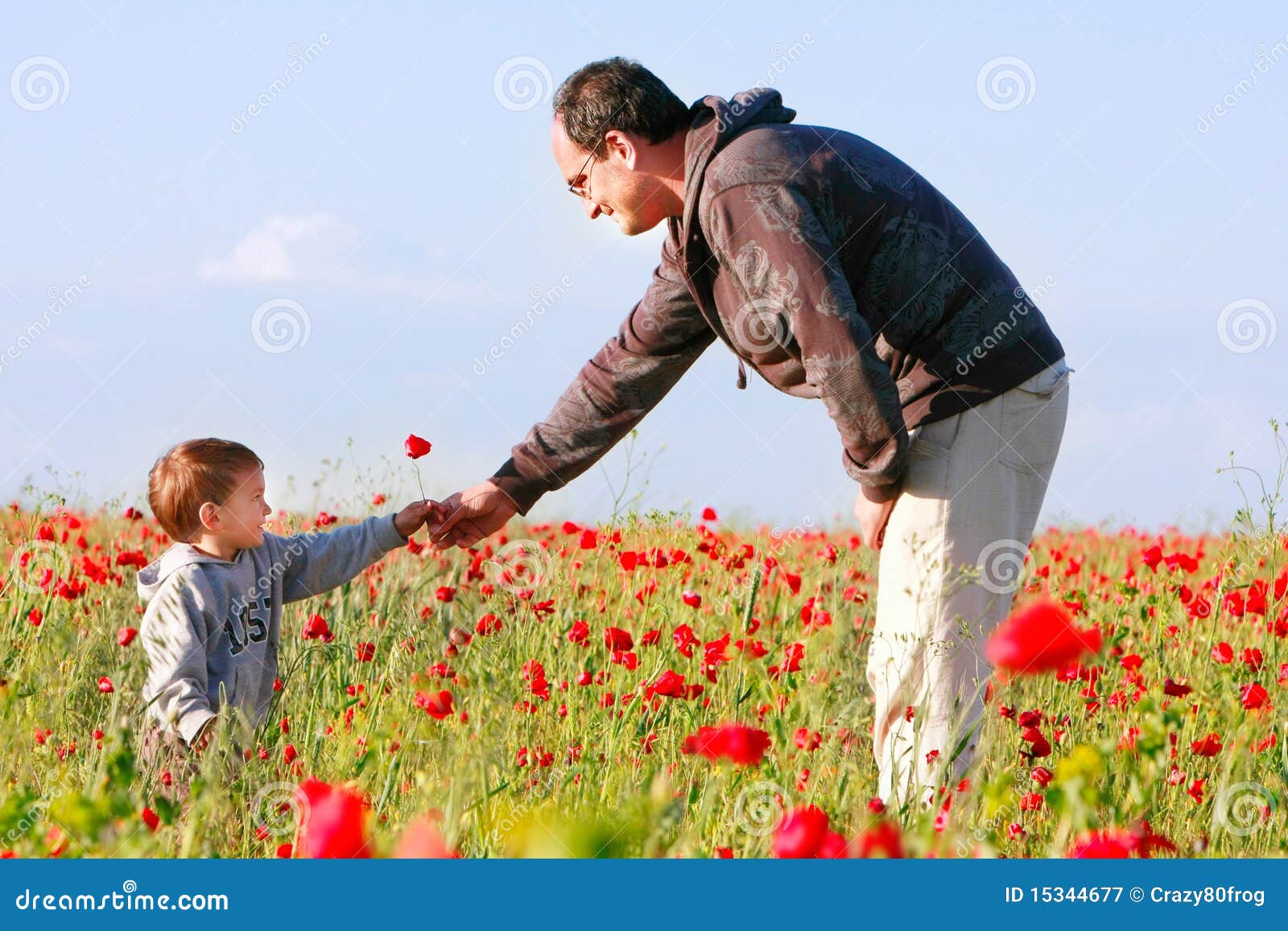 Father and Son in Poppy Field Stock Image - Image of european, enjoy ...