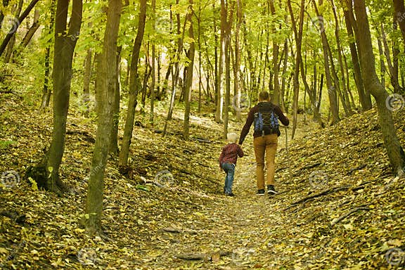 Father And Son Walking In The Autumn Forest Back View Stock Image