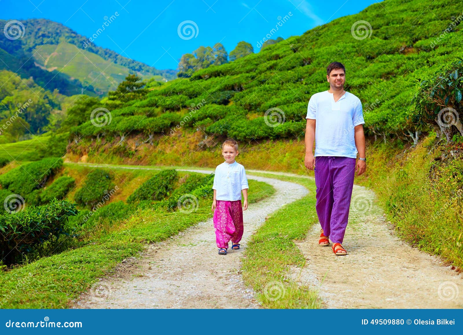 Father and Son Walking Footpath through Tea Plantation Stock Photo ...