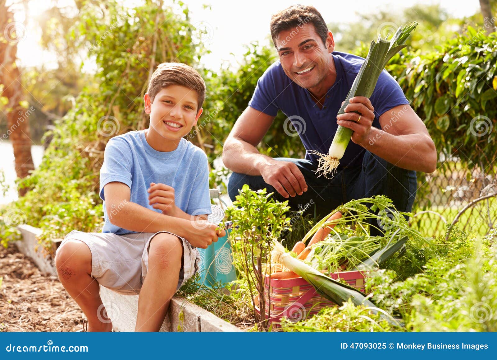 Father and Son Working on Allotment Together Stock Image - Image of ...