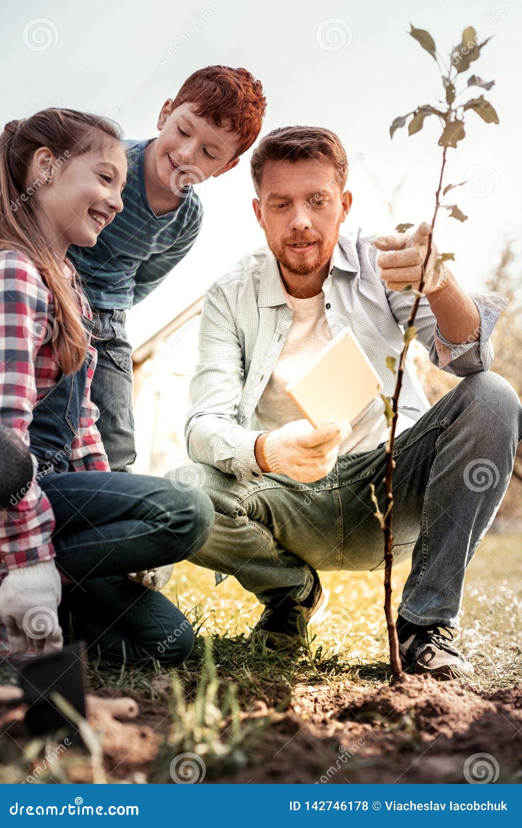 Father Telling His Children about Responsibility for Tree Stock Photo ...