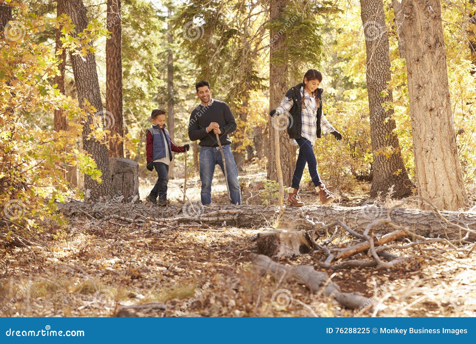 Father Watching His Two Children Walk Over Trees In A Forest Stock ...