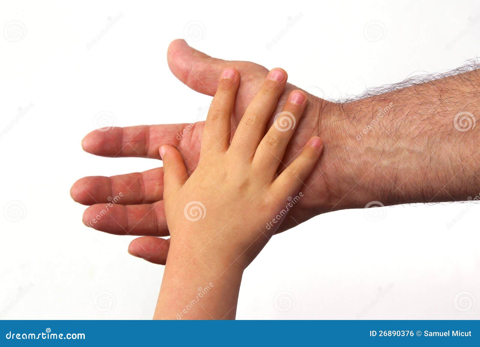 Fatherly love stock photo. Image of bonding, family, white - 26890376