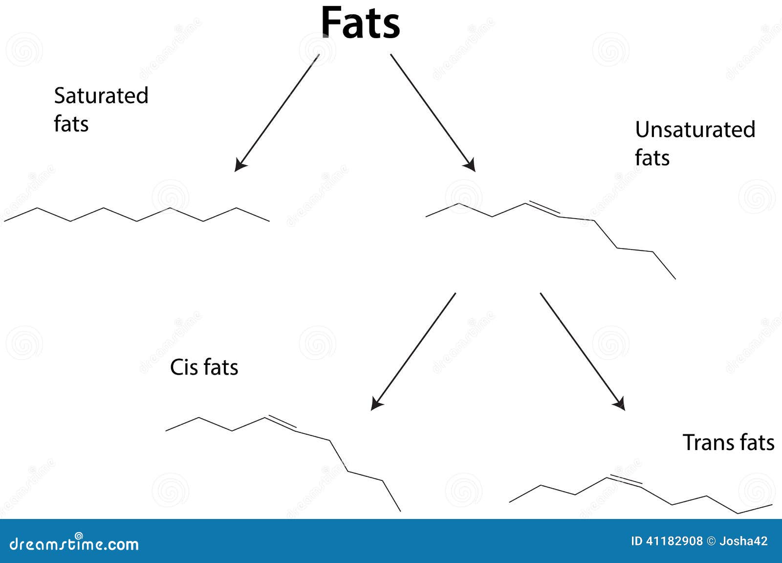 Trans Fats Diagram