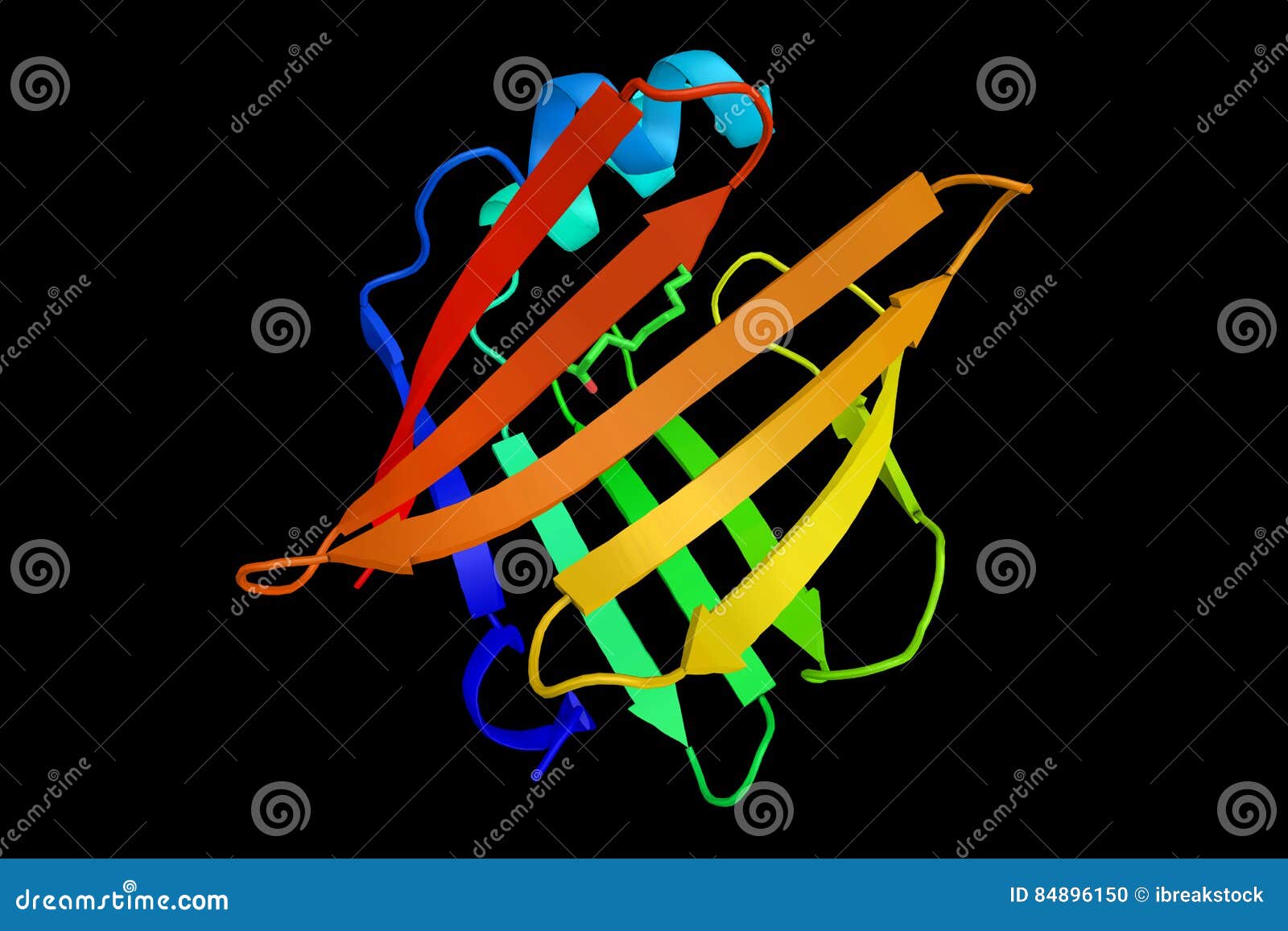 Fatty Acid-binding Protein, Epidermal. Stock Illustration ...