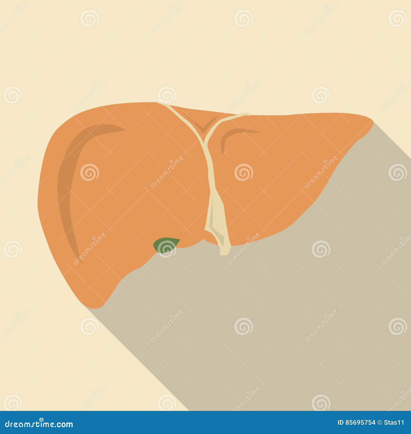 Liver Simple Black Silhouette Shape. Cartoon Vector | CartoonDealer.com ...