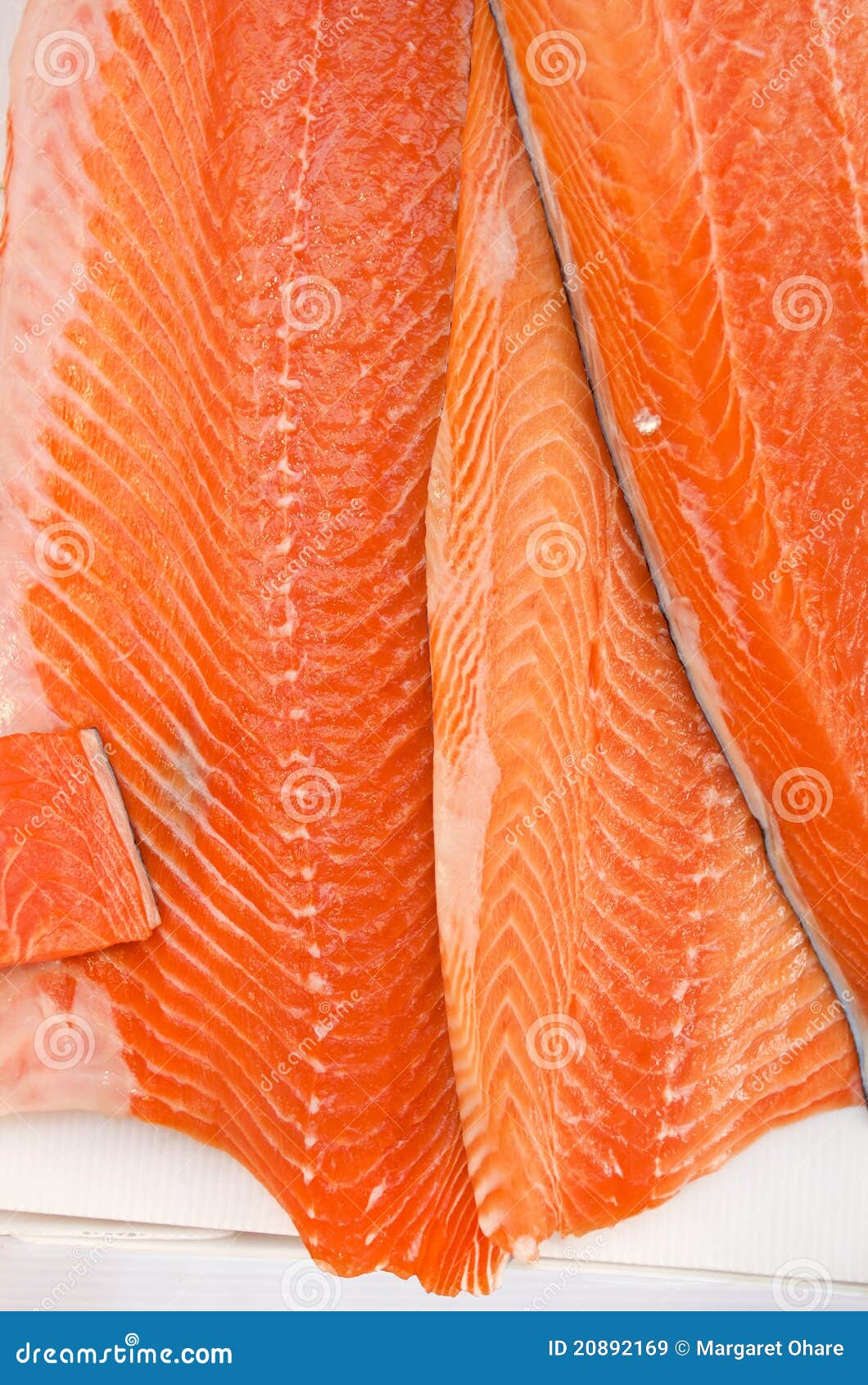 Fatty Salmon Fillets Fresh at Market Stock Image - Image of cooking ...
