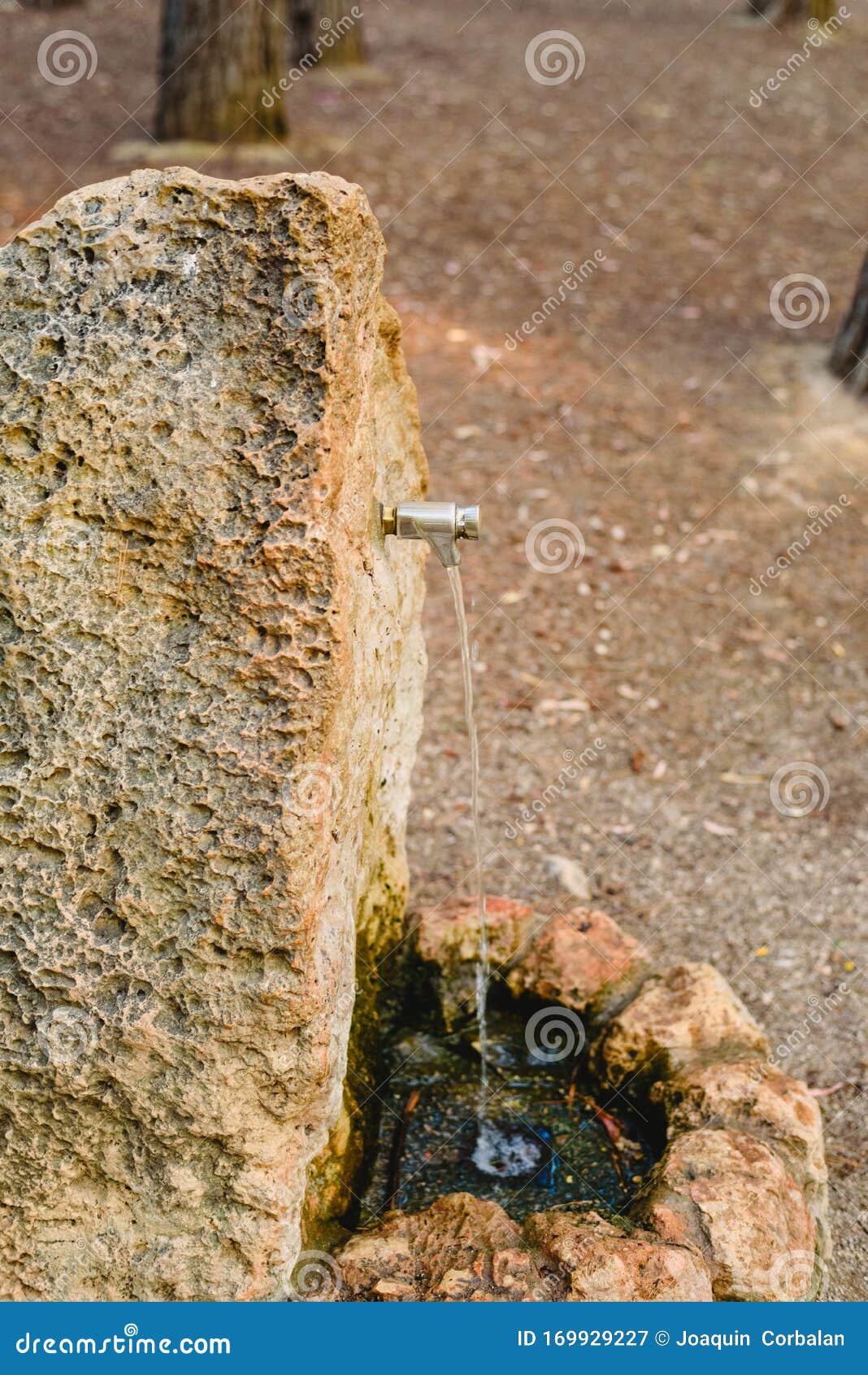 Faucet in Natural Water Fountain in the Forest Stock Image - Image of ...