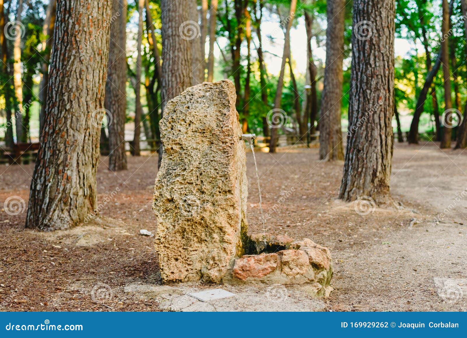 Faucet in Natural Water Fountain in the Forest Stock Photo - Image of ...