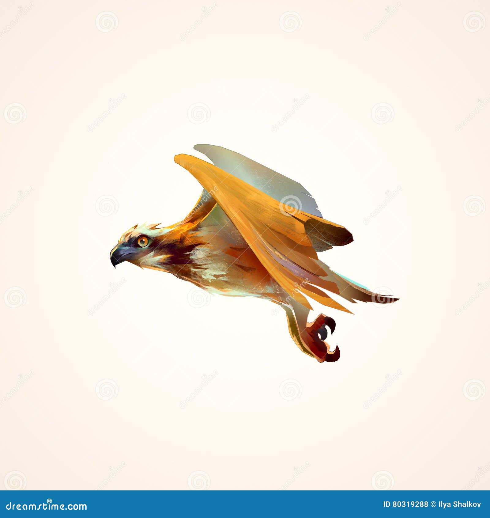 Faucon de vol de dessin photo stock. Image du crécerelle - 80319288