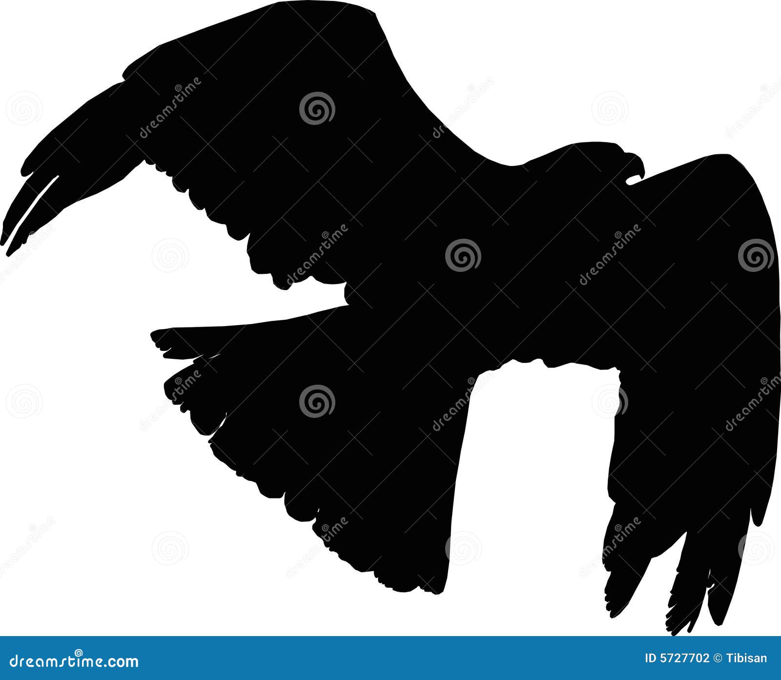 Faucon de vol de vecteur illustration de vecteur. Illustration du blanc ...