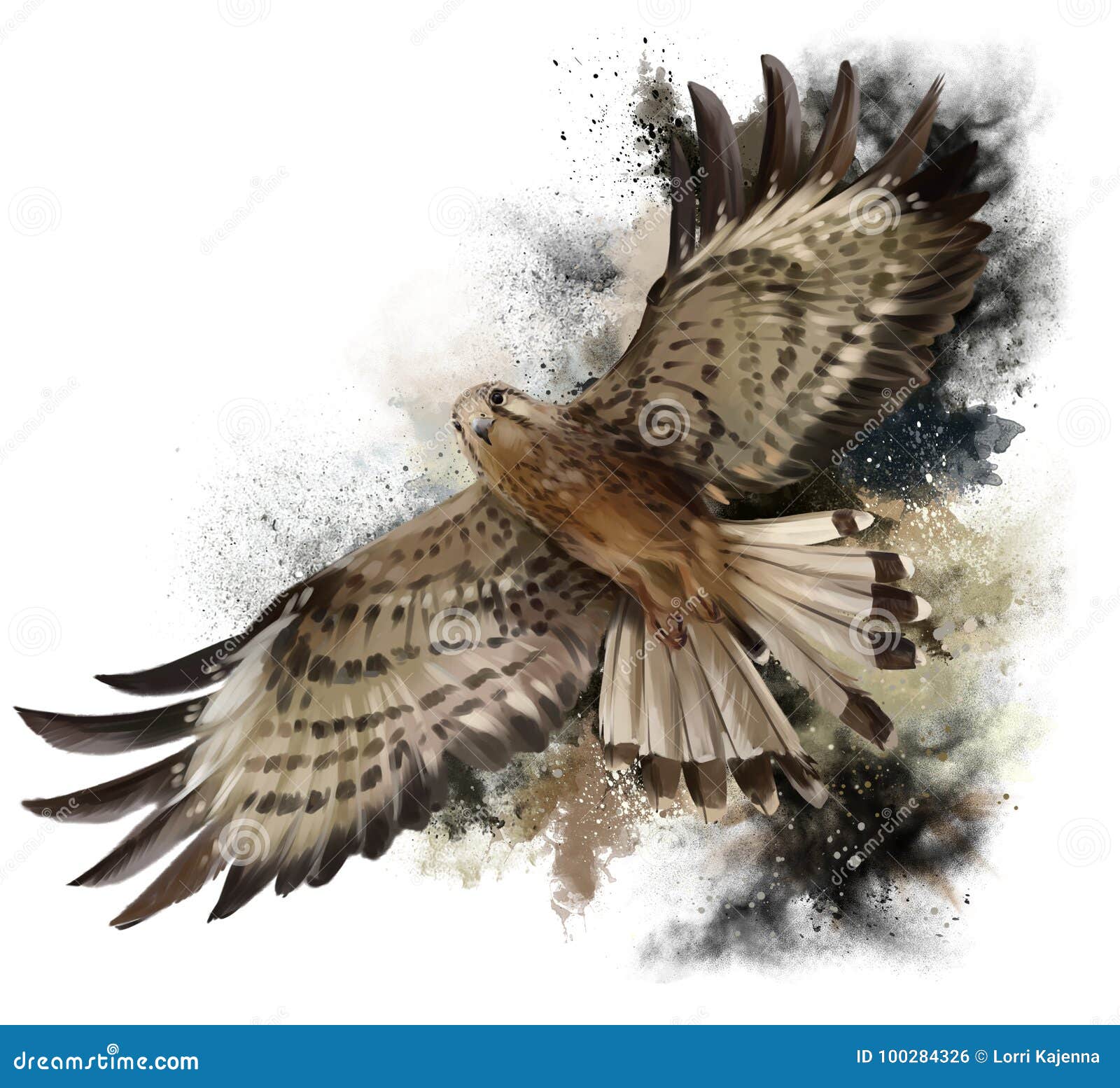 Faucon en vol illustration stock. Illustration du aile - 100284326