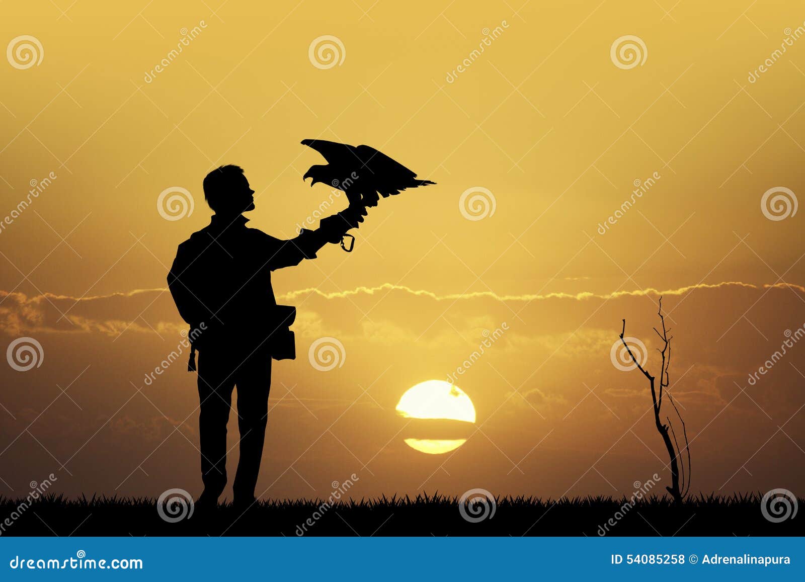 Fauconnier Stock Illustrations, Vecteurs, & Clipart – (140 Stock ...