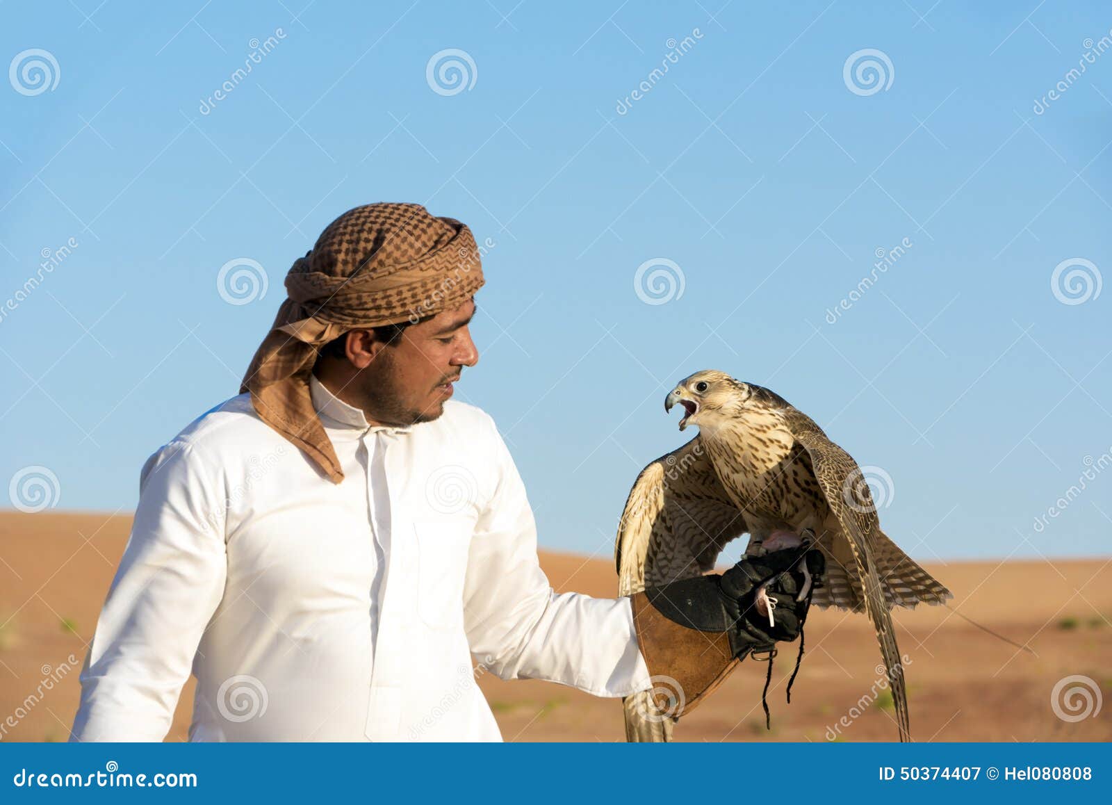 Fauconnier et faucon photographie éditorial. Image du turban - 50374407