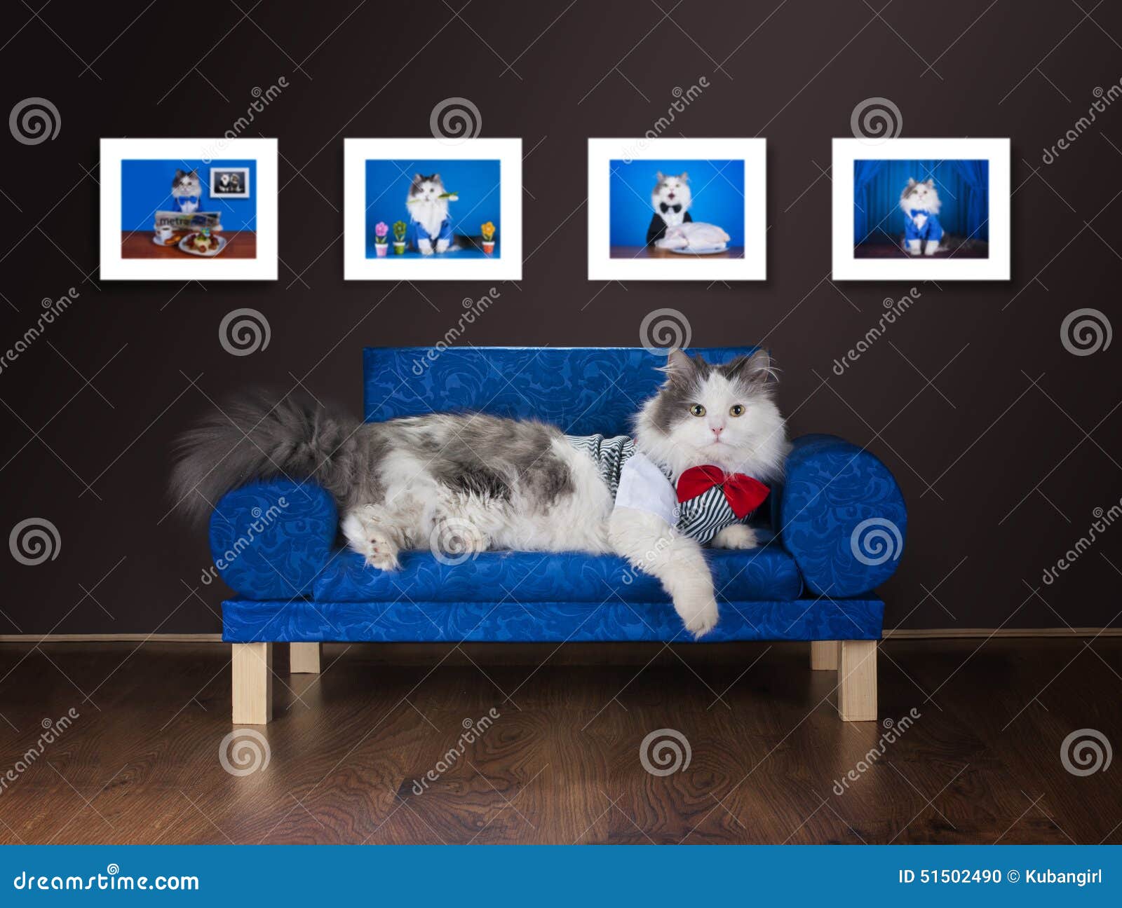Faule Katze Steht Auf Der Couch Still Stockfoto - Bild von instinkt ...