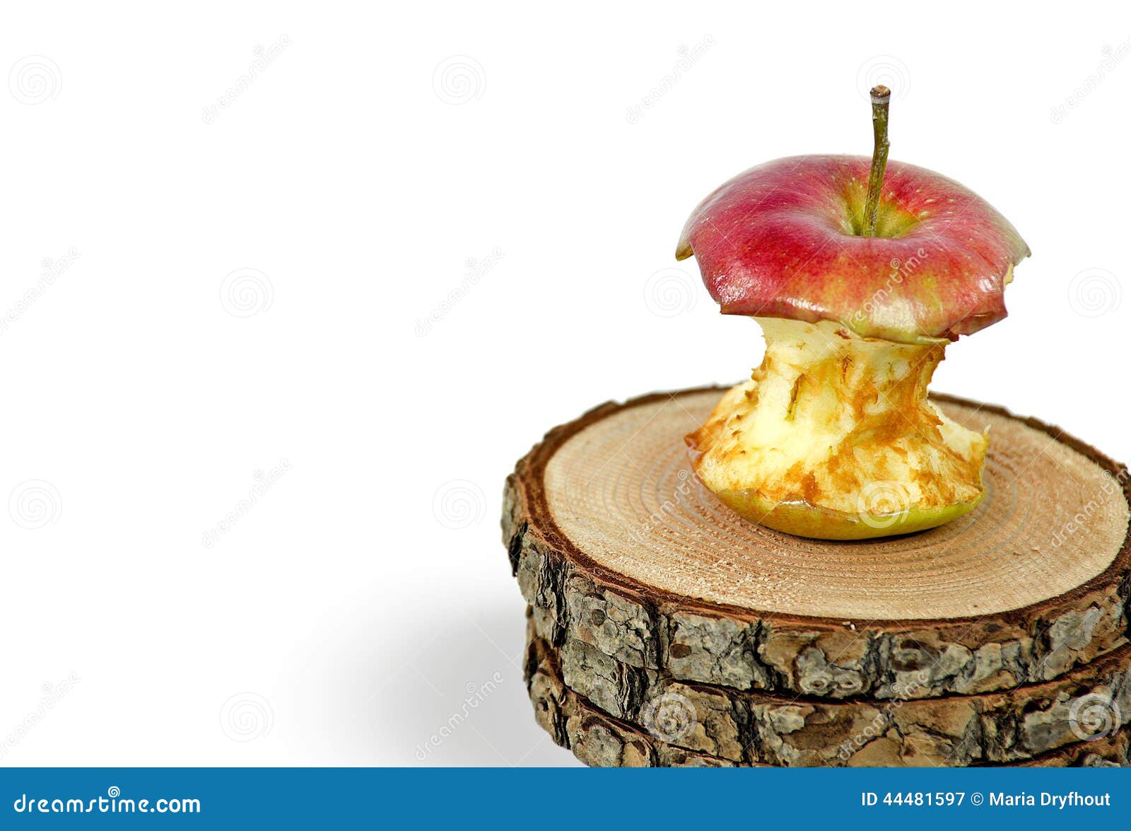 Fauler Apfelkern auf Holz stockbild. Bild von baum, barke - 44481597