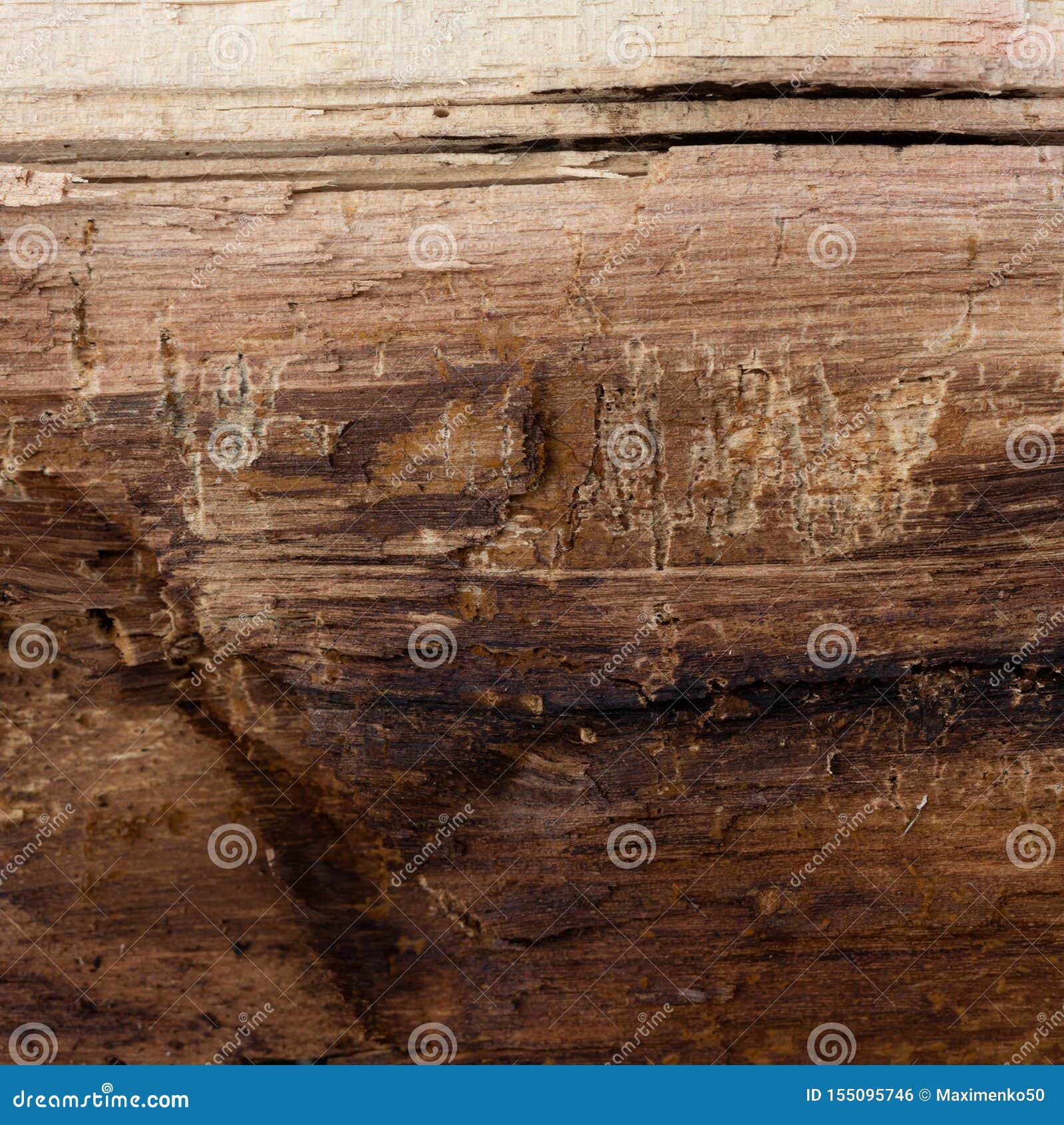 Faults and Small Cracks in the Log, Texture for the Background. Stock ...
