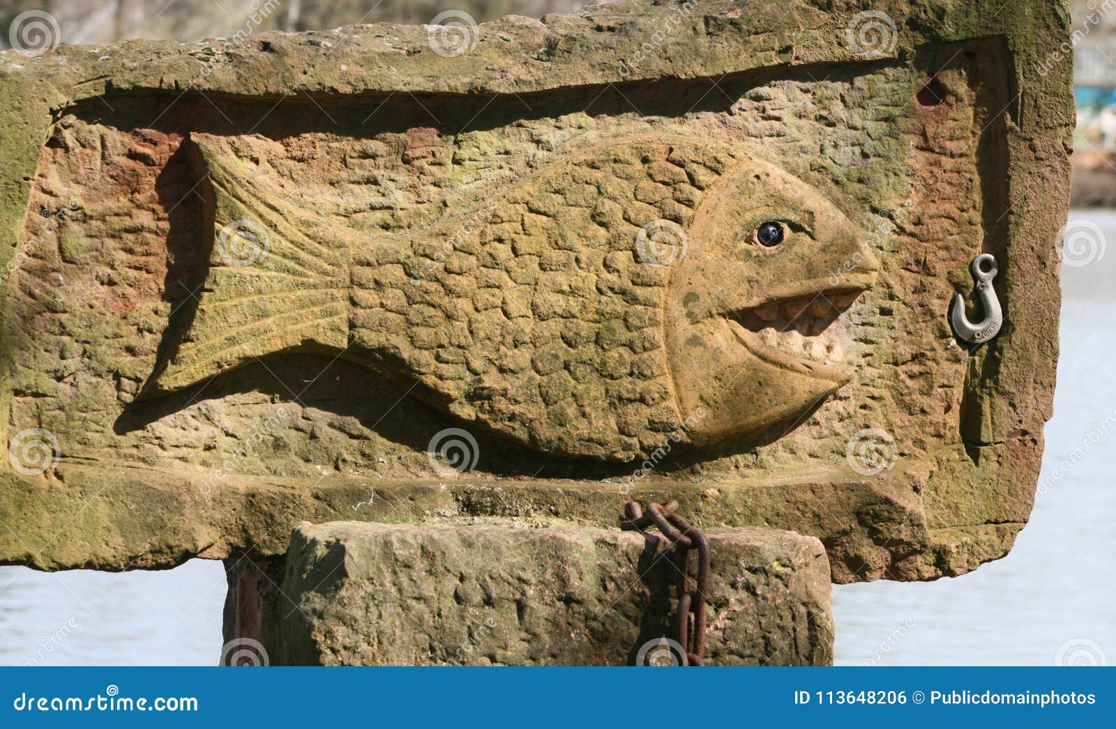 Fauna, Archaeological Site, Stone Carving, Terrestrial Animal Picture ...