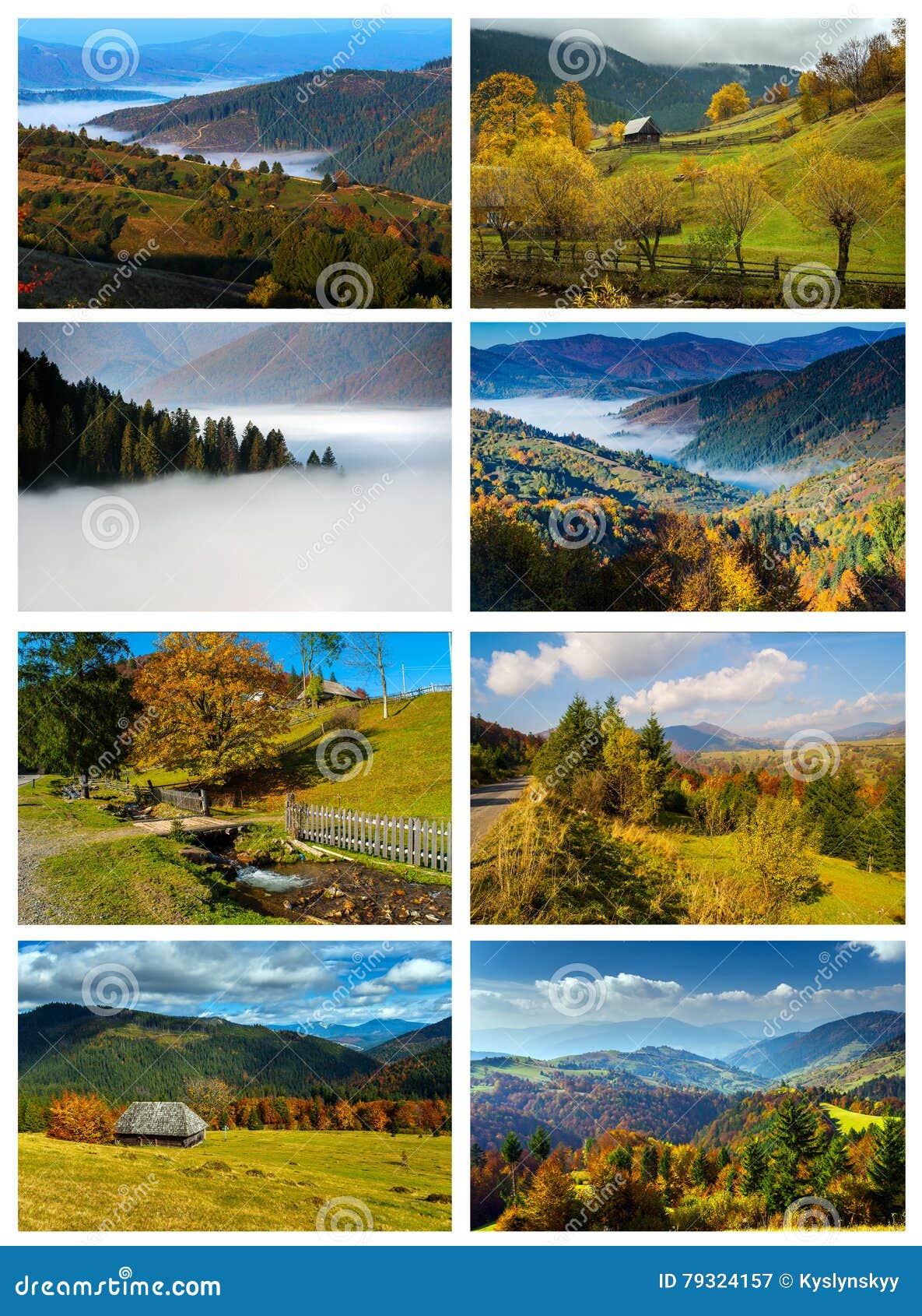 Fauna del collage de Kenia imagen de archivo. Imagen de gato - 79324157