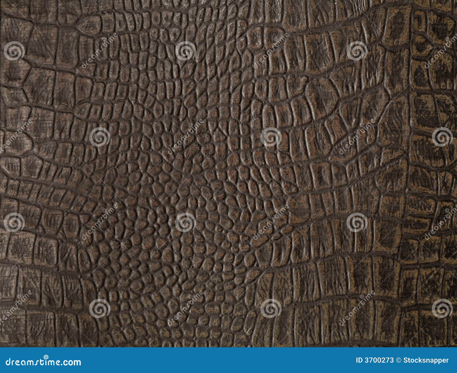 Faux alligator skin stock image. Image of faux, leather - 3700273