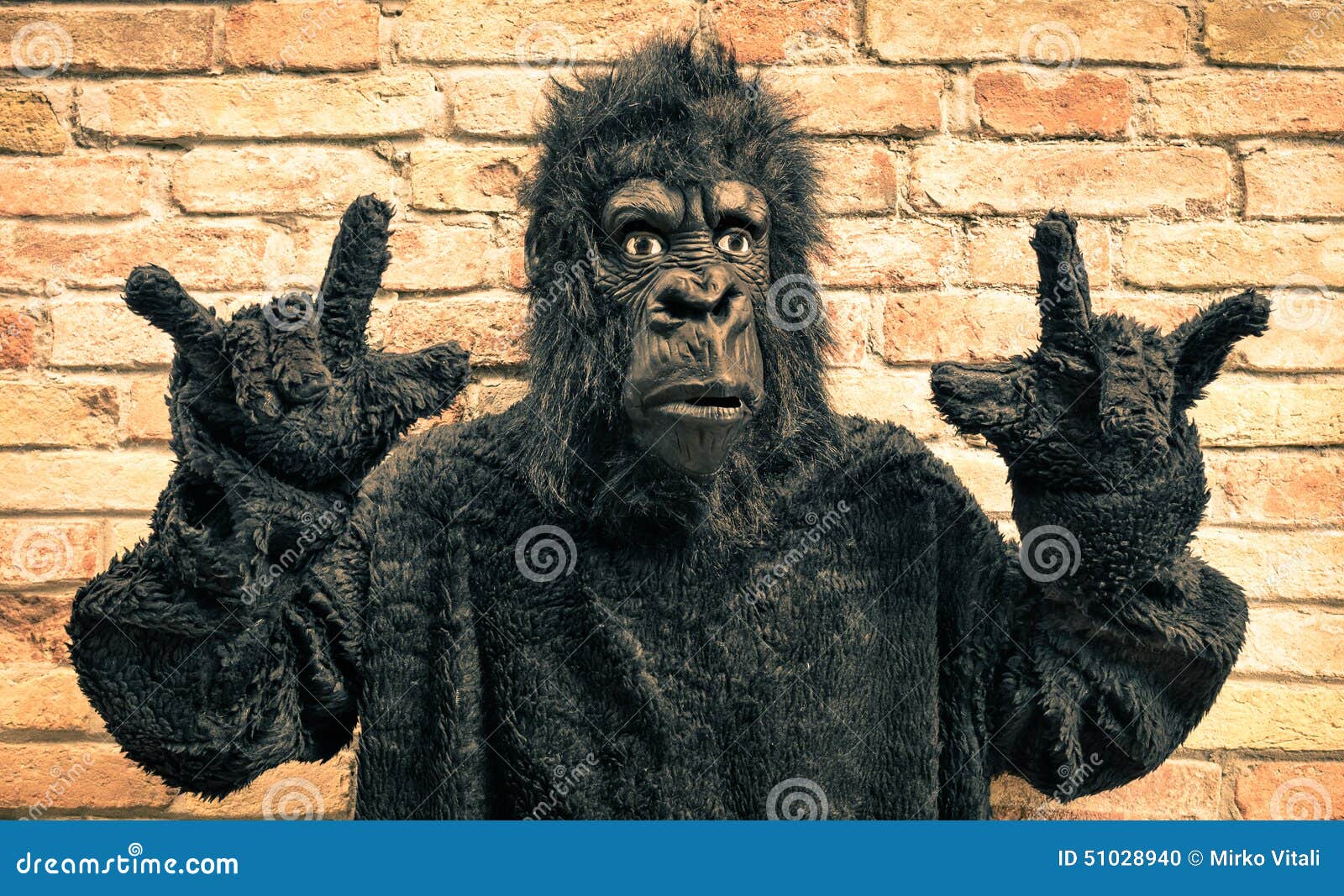 Faux Gorille Drôle Avec Le Geste De Main De Rock Photo stock - Image du ...