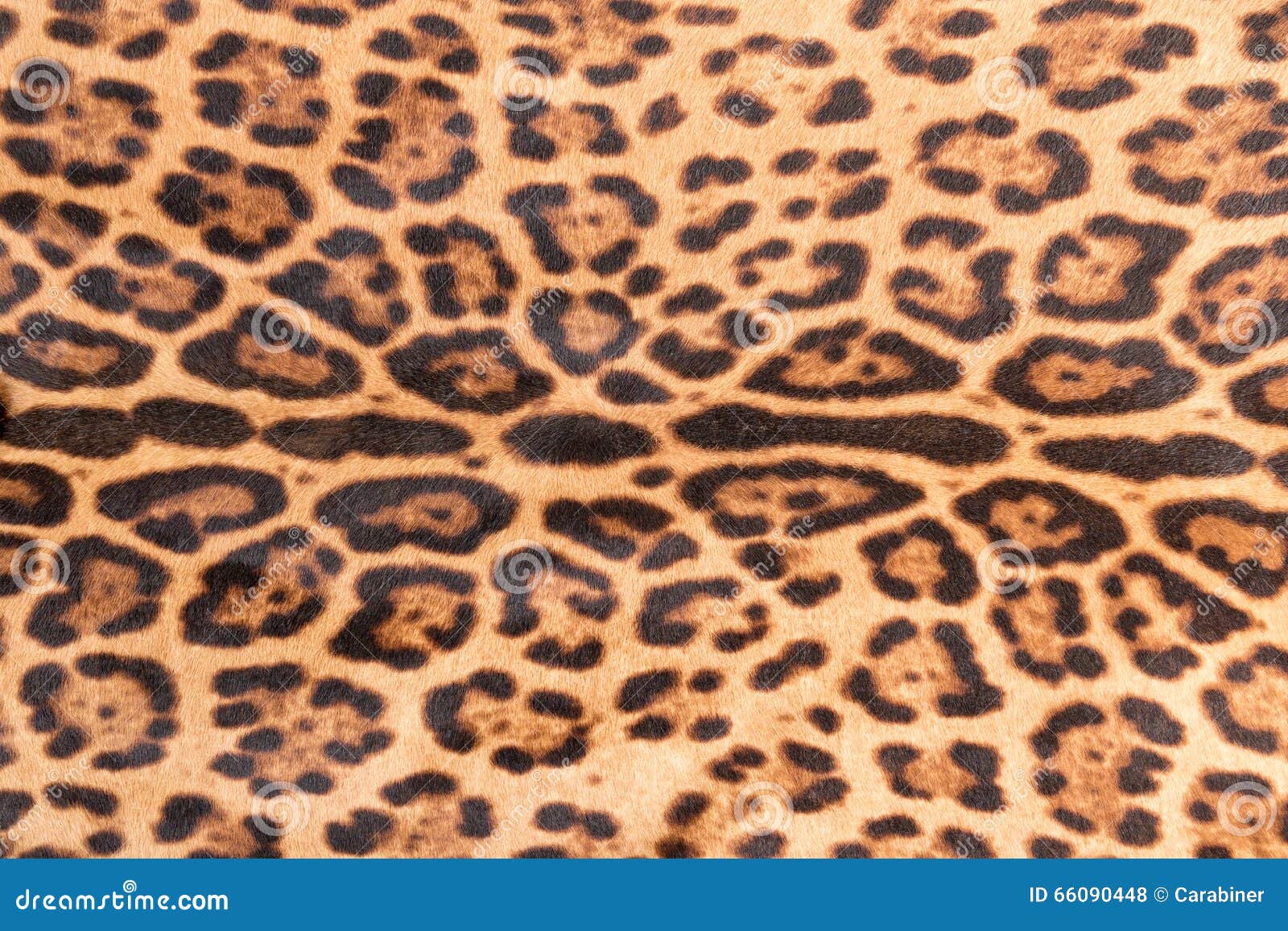 Faux leopard fur stock photo. Image of african, animals - 66090448