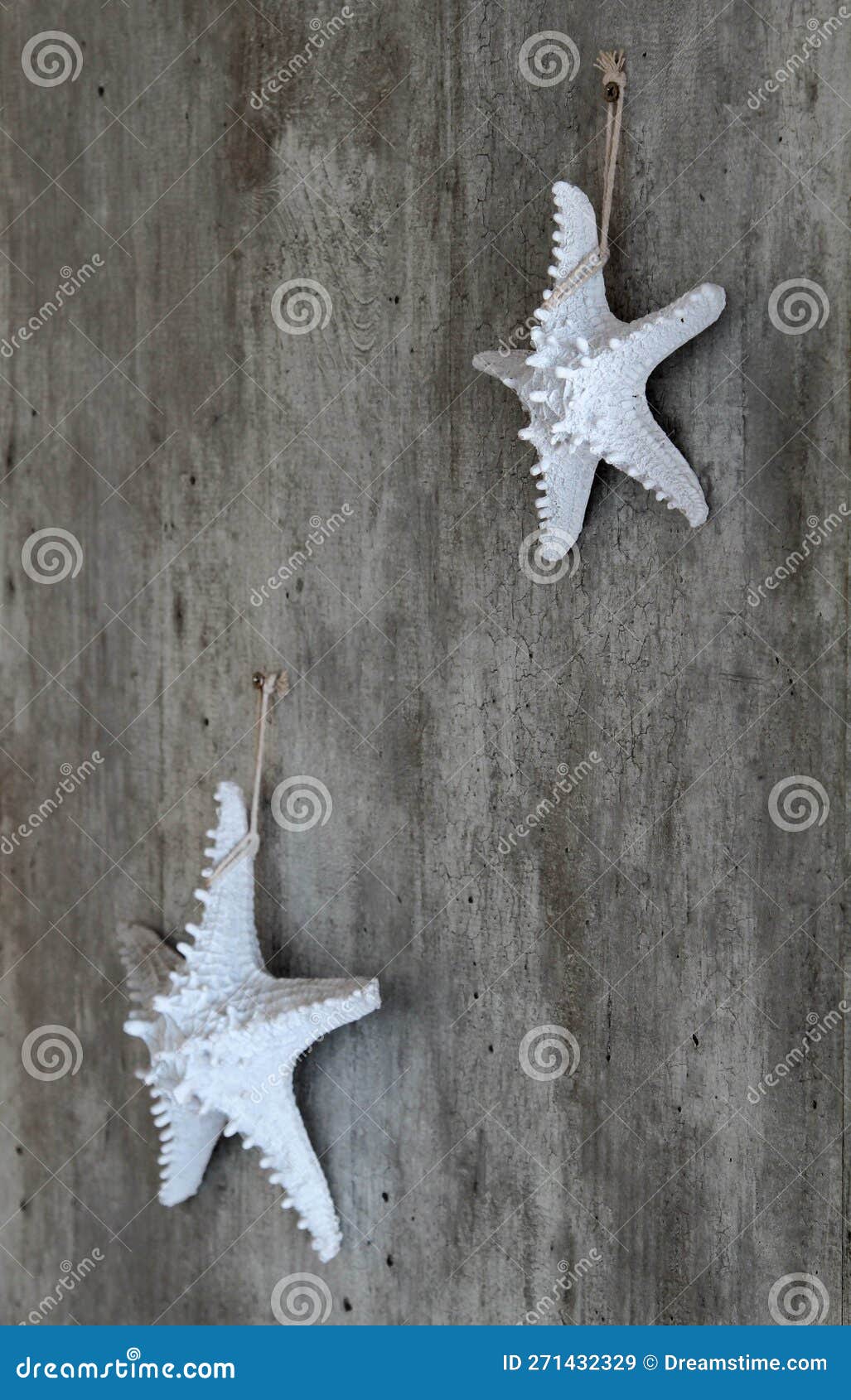 A Faux Starfish Hanging on Wall Stock Image - Image of ornament ...