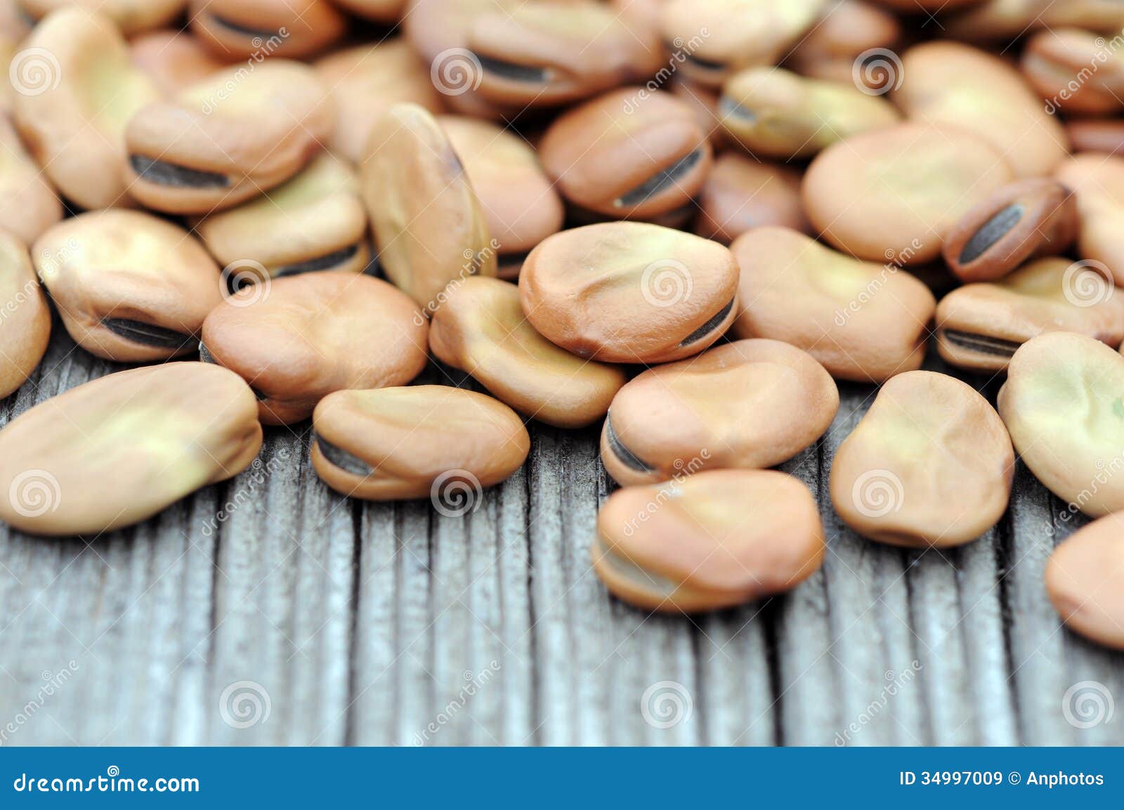 Fava imagem de stock. Imagem de agricultura, textura - 34997009