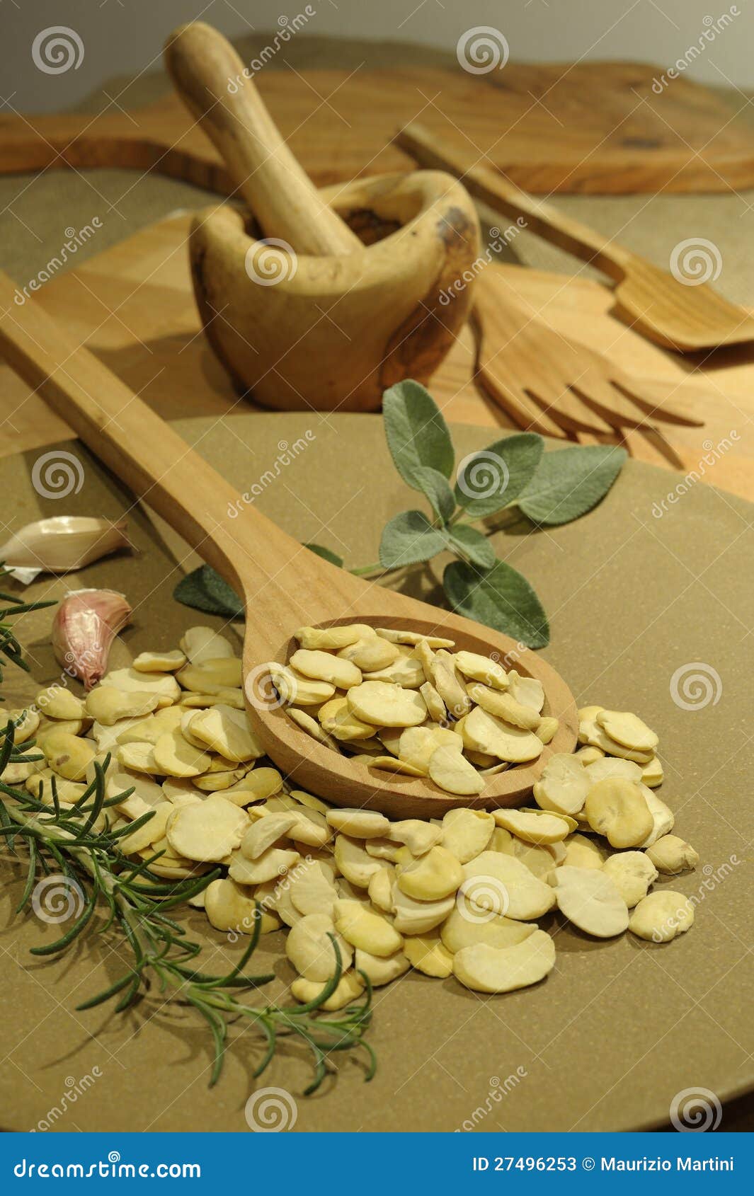 Fava beabs stock image. Image of italian, rosemary, food - 27496253