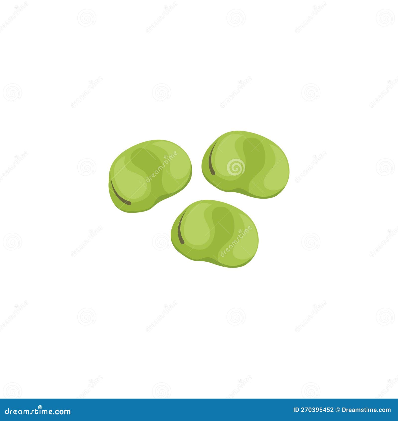 Fava bean. Broad bean stock vector. Illustration of protein - 270395452
