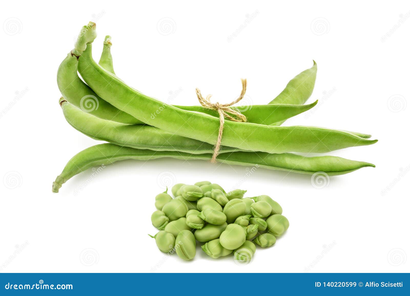 Fava bean Vicia faba stock image. Image of pile, beans - 140220599