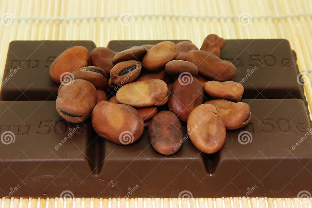 Fava beans and chocolate stock photo. Image of fava, chocolate - 11163136