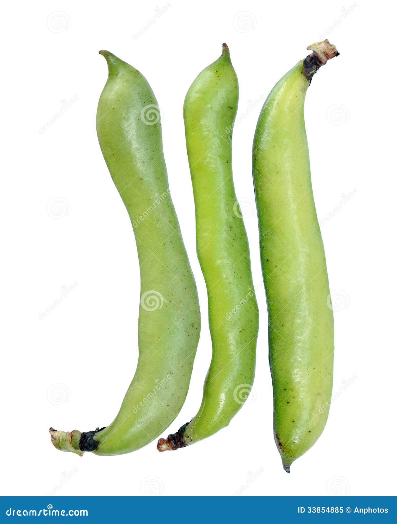 Fava beans stock image. Image of fresh, agriculture, cuisine - 33854885