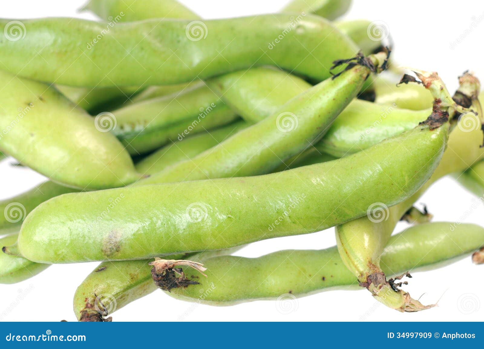 Fava beans stock image. Image of delicious, white, isolated - 34997909
