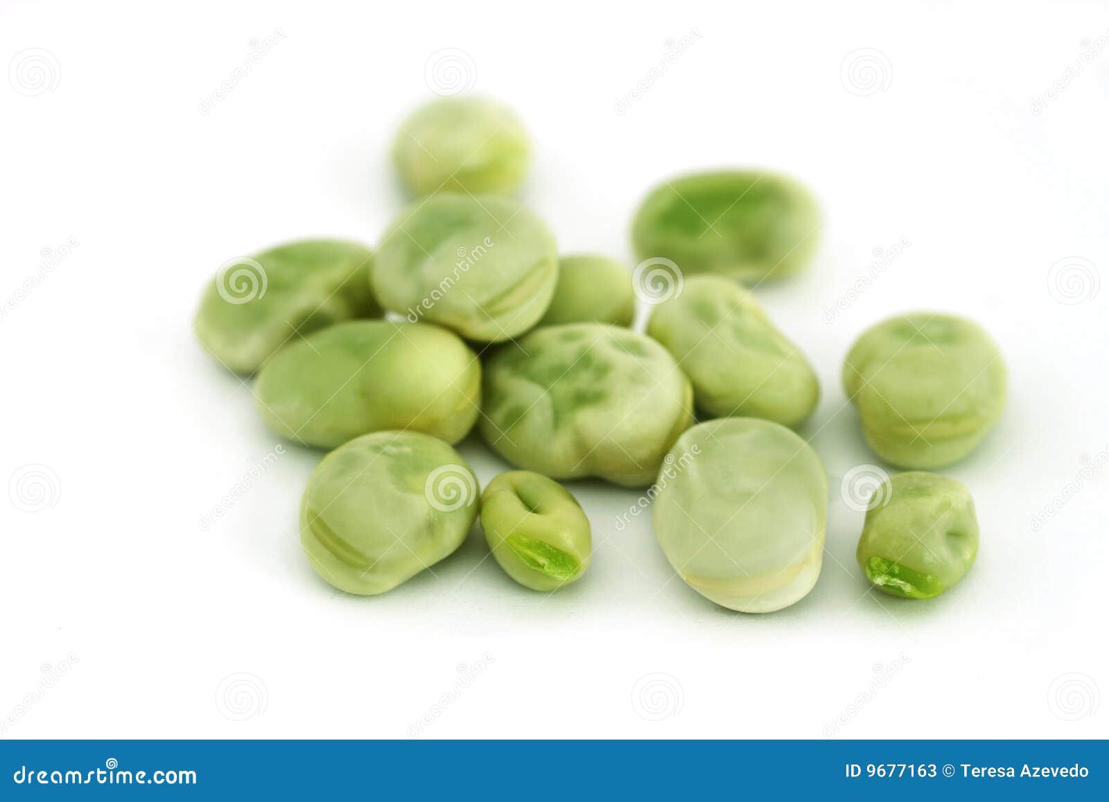 Fava Bohnen stockbild. Bild von studio, schnitt, diät - 9677163