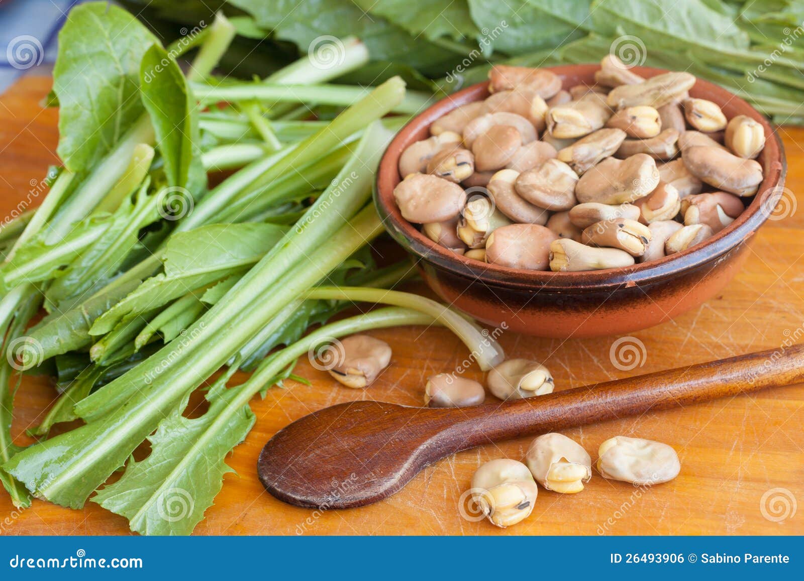 Fava Bohnen und Zichorie stockfoto. Bild von landwirtschaft - 26493906